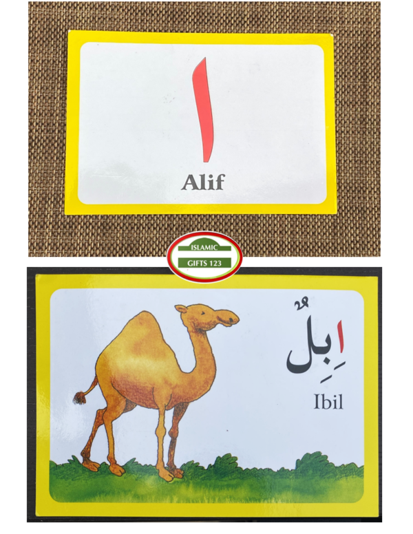 Arabic Alphabet Flash Cards in Bulk – Educational Arabic Flash Cards ...